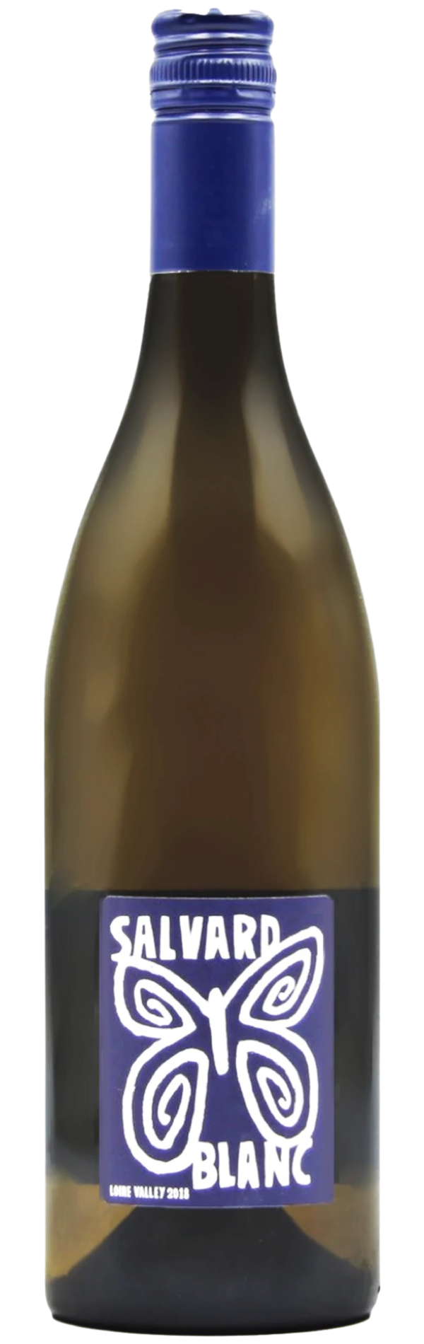 Bernard Baudry Chinon Rosé 2021 - Bacash Wine Store